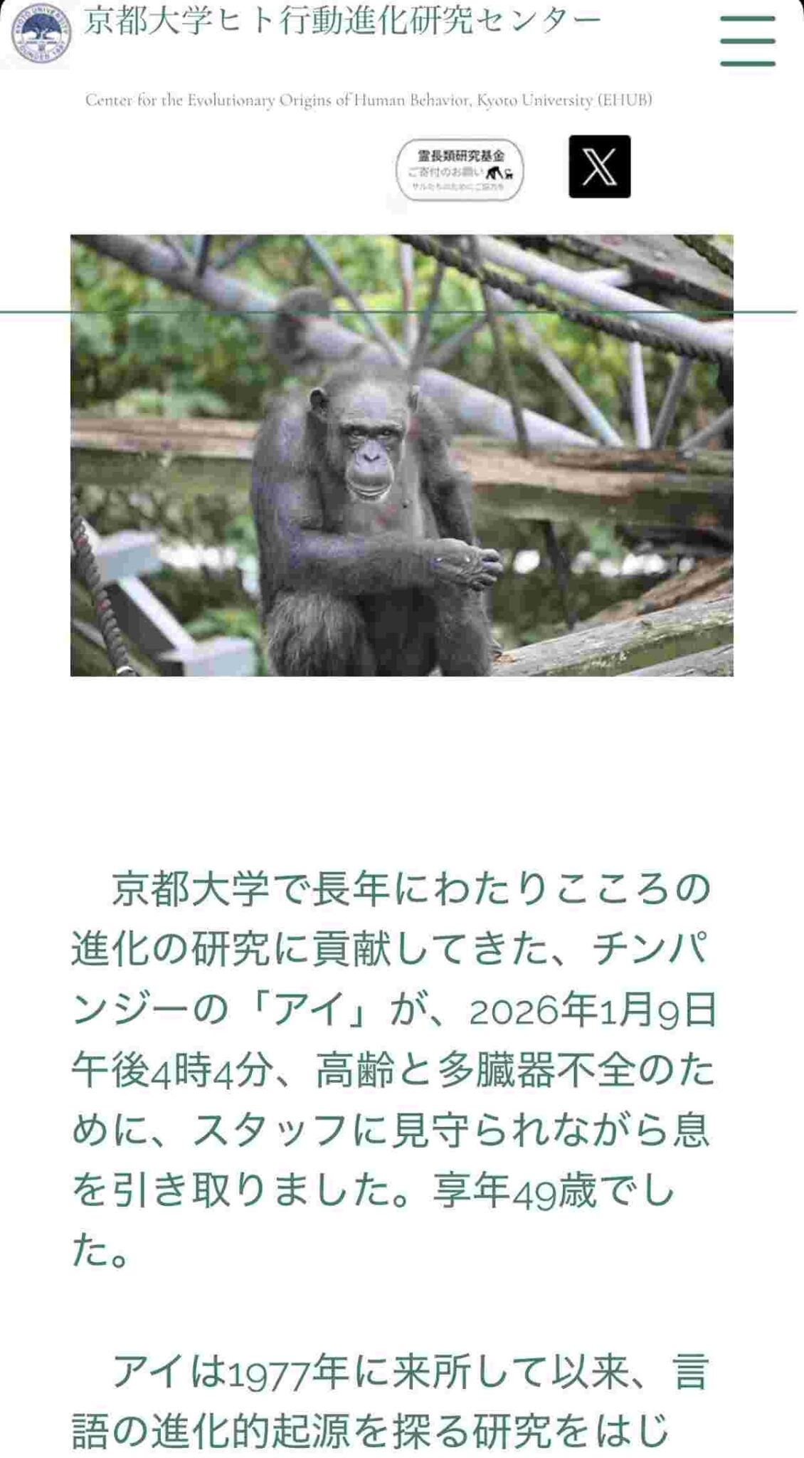 【訃報】天才チンパンジーアイ 逝去 | 炎の5chまとめ